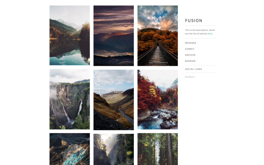 Fusion - Minimalism meets Characteristic | Zen Themes